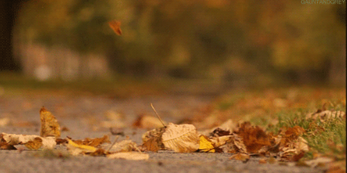Beautiful colorful pictures and Gifs: Wind Animated gif photography.