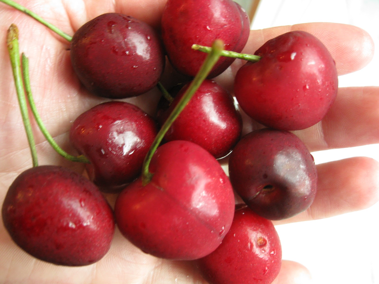 Baking Outside the Box: Baking with Fresh Summer Fruits