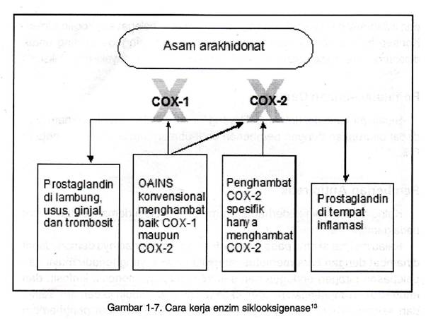 Mengenal Lebih Dalam Apa Itu Demam (Febris)