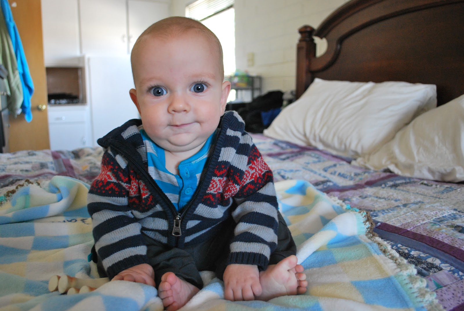 this one's still kicking: now that I can sit without help (temporarily