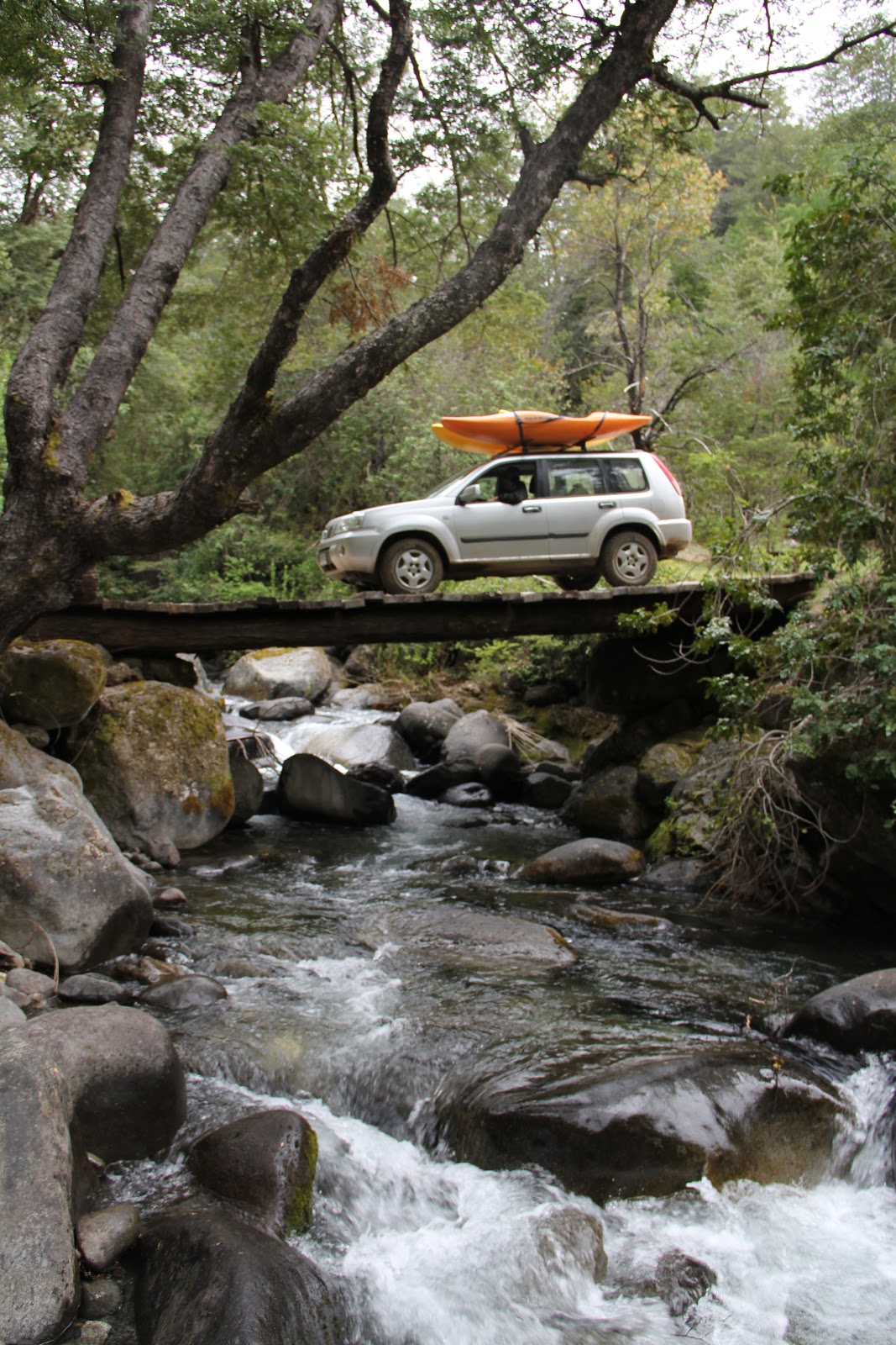 Creeking with Jake Greenbaum