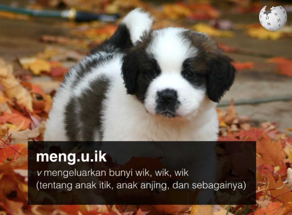 Lagu Dengan Lirik "wik wik wik" Viral, Begini Artinya Dalam Bahas ...