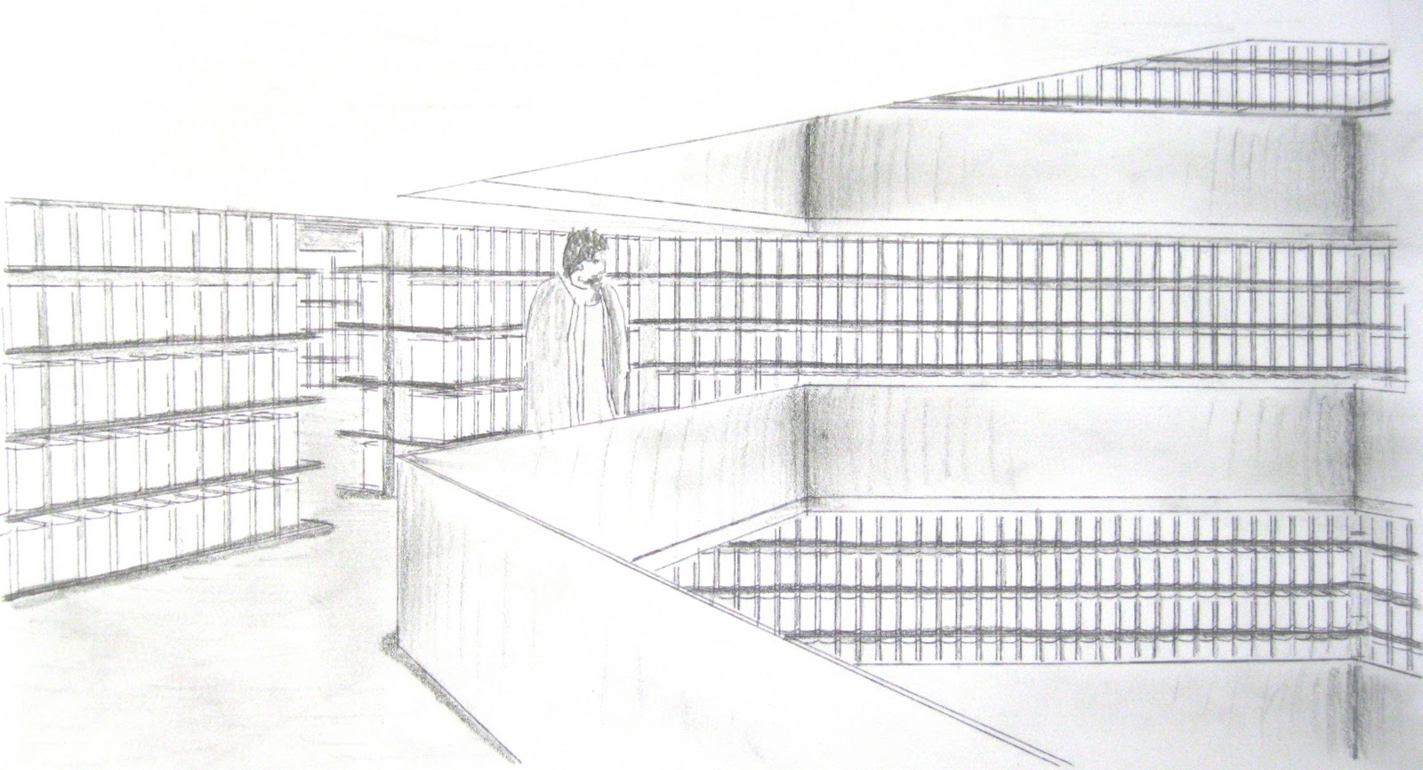 Alex Warren Architecture | Interesting Books: Library of Babel Pin Up