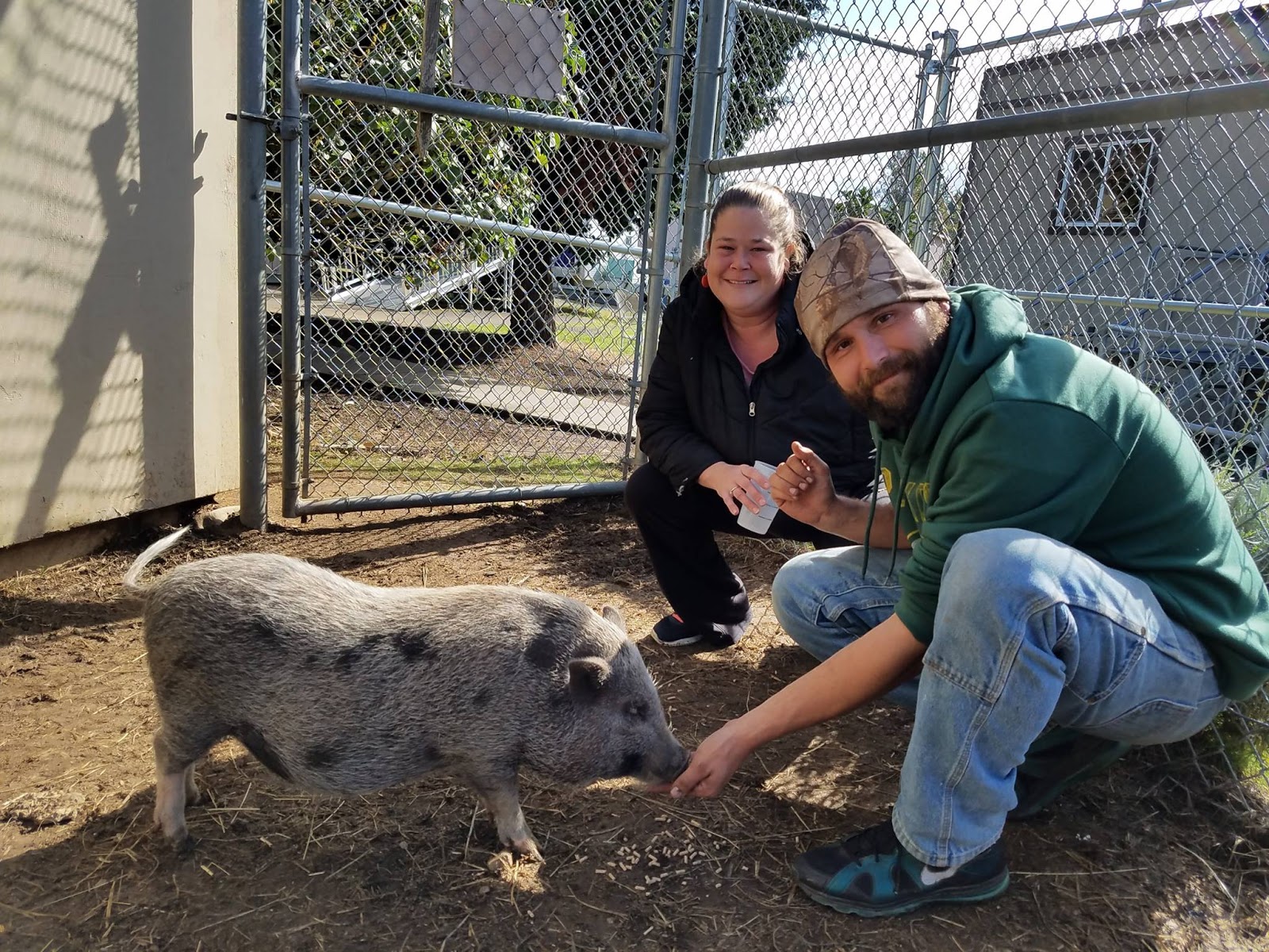 Shelter Dogs of Portland: "HUMPHREY" charming little Vietnamese ...