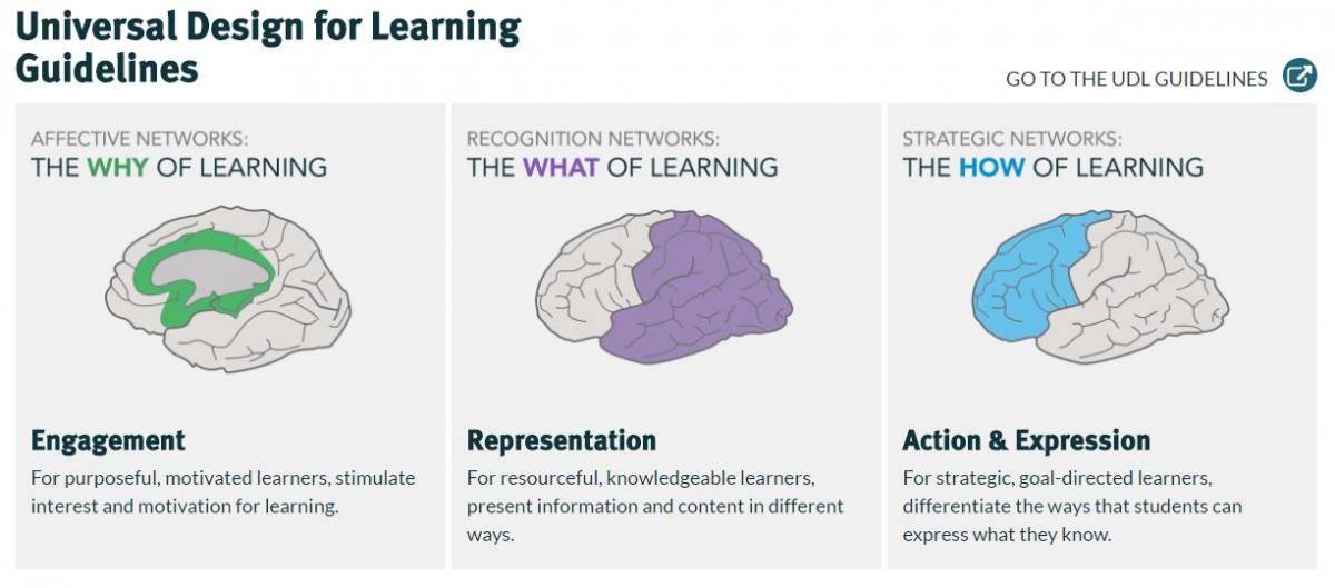 Leading the Learning or Learning through Leading?: 2019