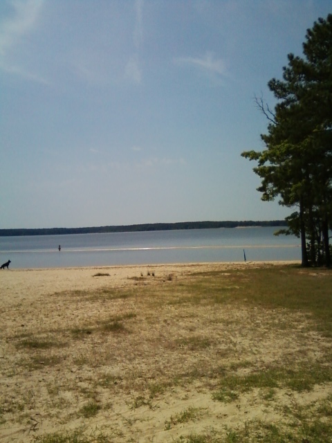 Keeping the Kids Busy in the Triangle: Sandling Beach - Falls Lake ...