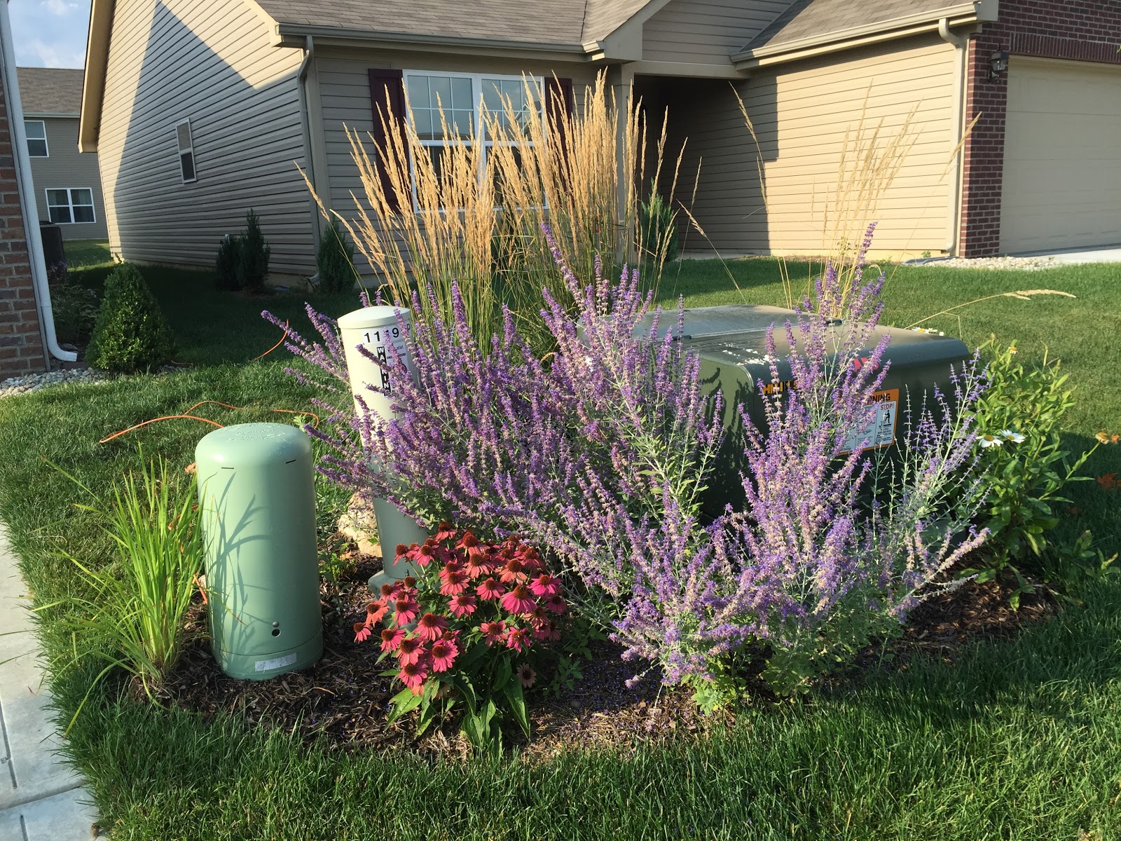 The Lawn Aeration Debacle [Backyard Neophyte Landscaping Blog]