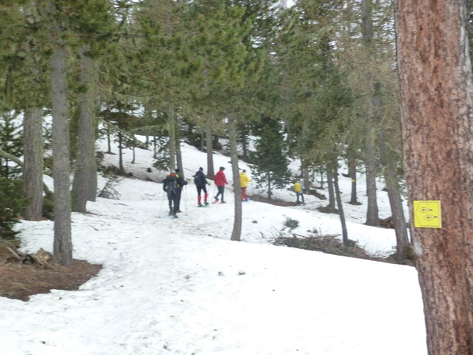 joan asín: EXCURSIÓ COLL DE LA LLOSA - REFUGI COLL DE TORN AMB RAQUETES