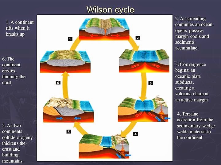 EL CICLO DE WILSON: EL CICLO DE WILSON