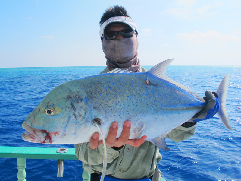 Tackle Source: MALDIVES - A FRESH PERSPECTIVE