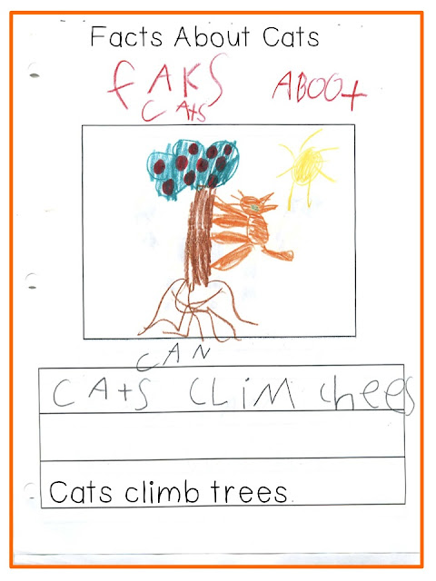 Joyful Learning In KC: Animal Research Writing