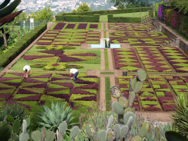 Lo que veo en el mundo: Jardines geométricos