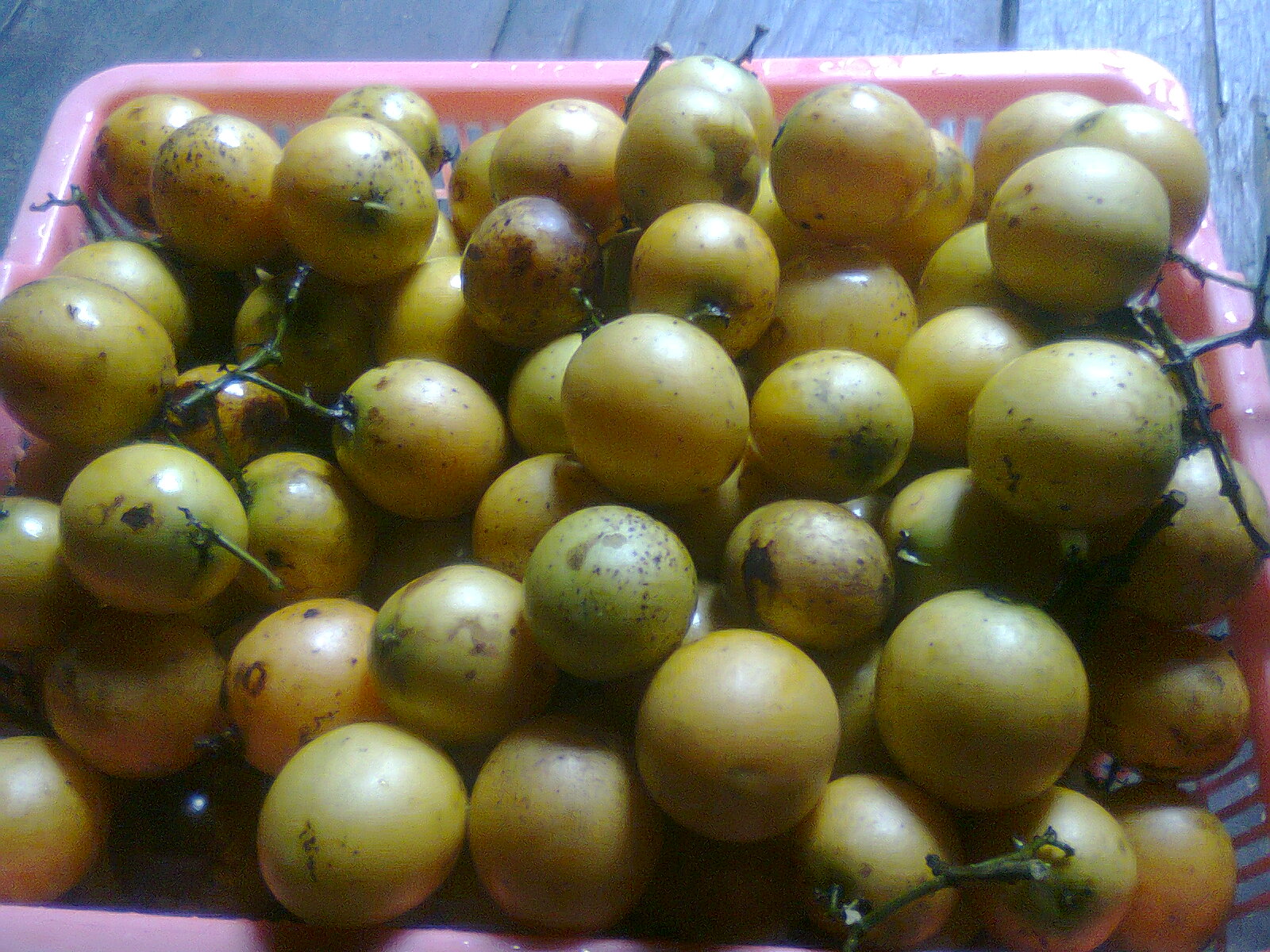 Kimeni's Blog: Buah Ramunia
