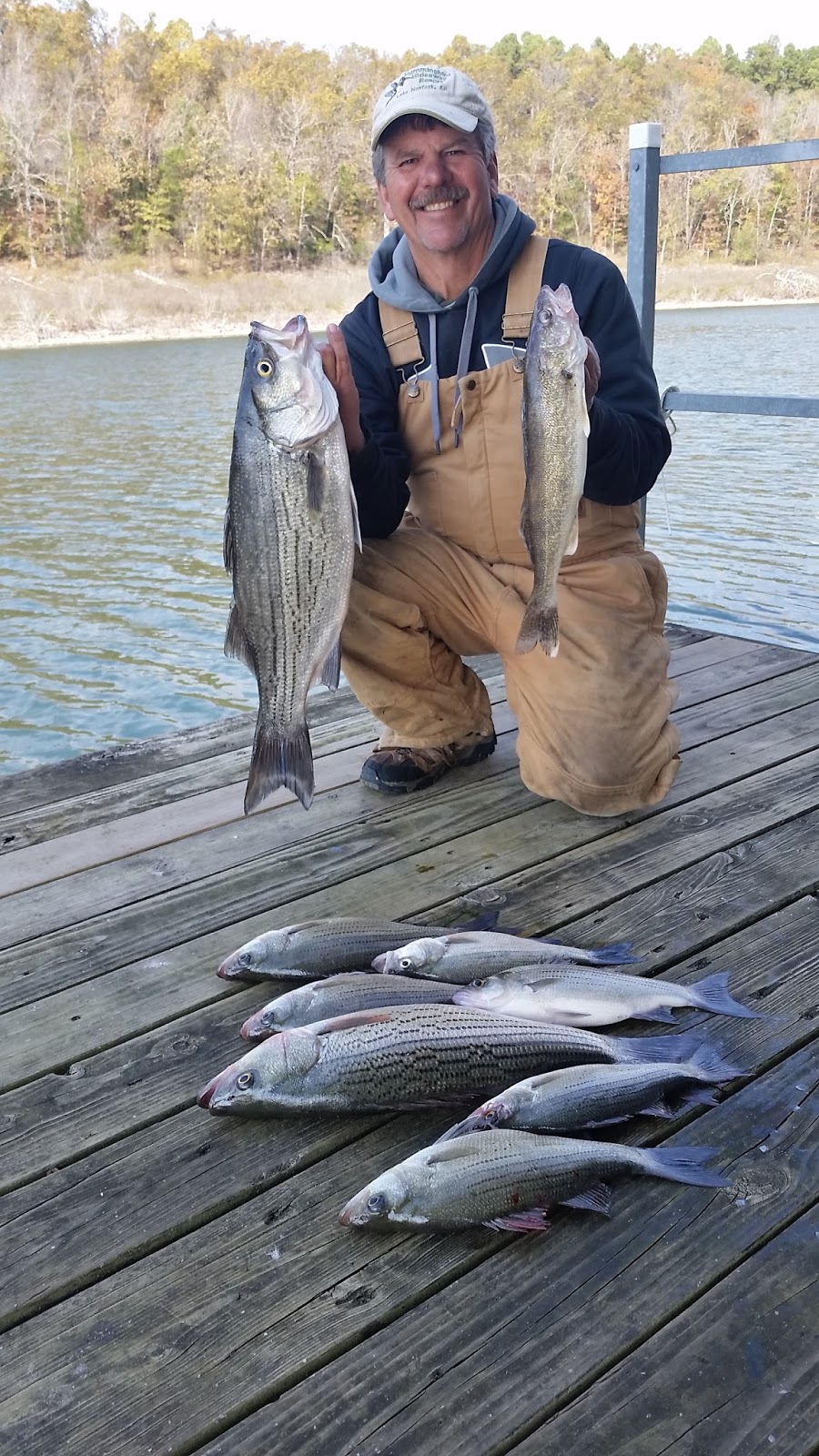 Hummingbird Hideaway Resort on Norfork Lake: Norfork Lake Fishing ...