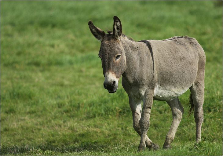 wilde perspektiven: 09/03/11
