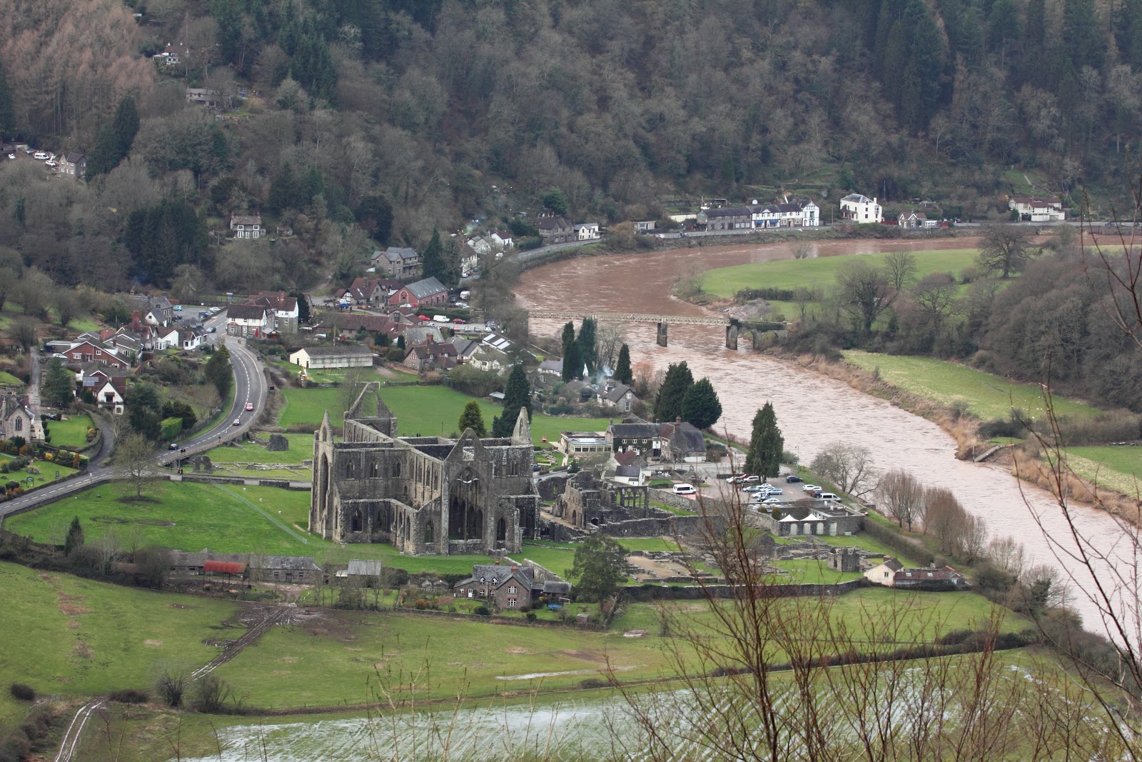 My photo's taken in and around the Forest of Dean: TINTERN ABBEY