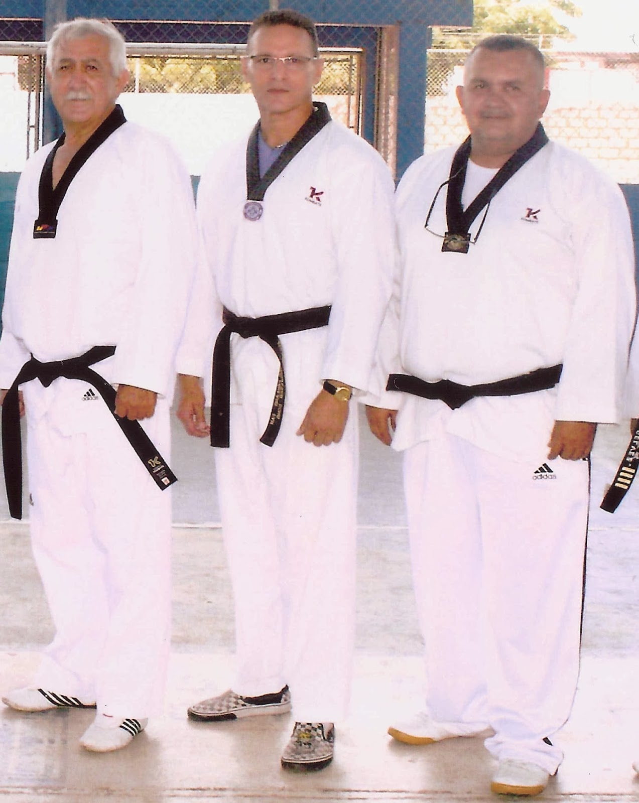 Conociendo el TaeKwonDo: 2011