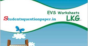 LKG GK and EVS Part 1 Work Sheet Free Download - studentsquestionpaper