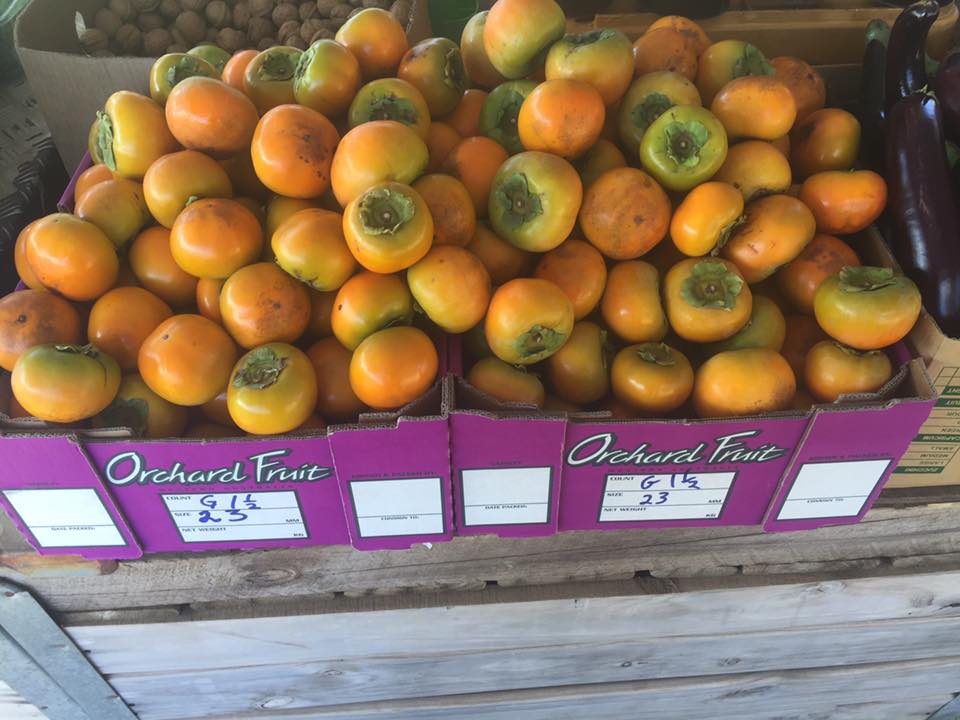 umiyumi2 : our life in perth, WA: Fruit Picking @ Valley Fresh Produce