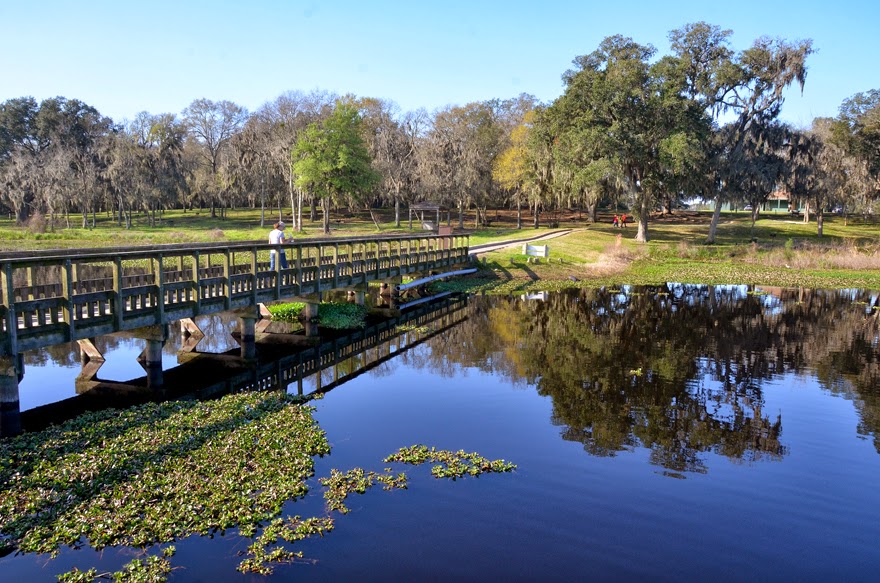 PeeWee Travels: Brazos Bend State Park to Galveston Island State Park ...