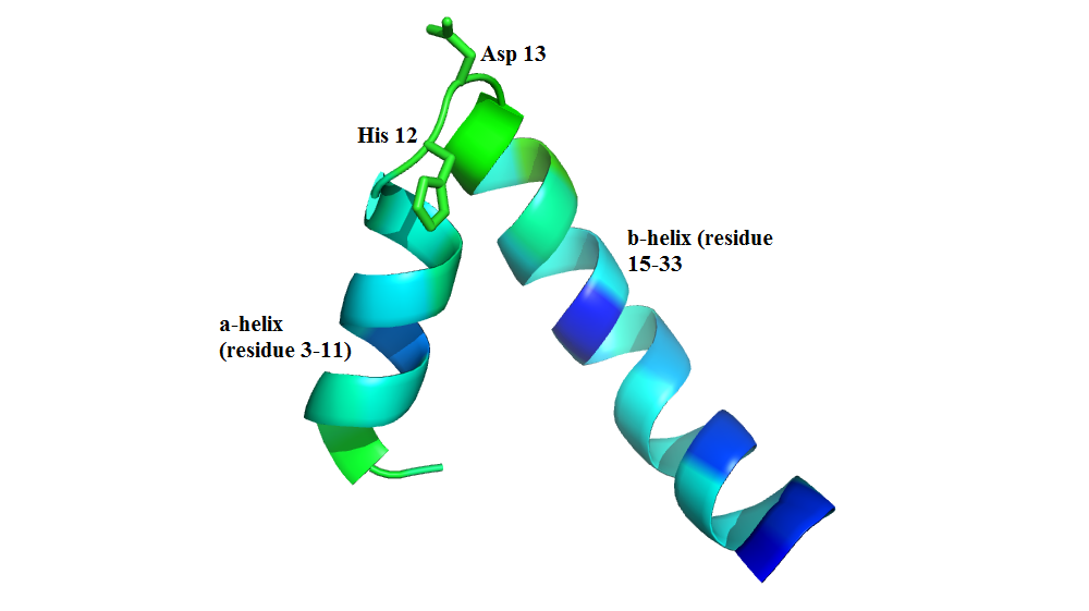 The Structure of TAL Effectors and how it Recognises Specific DNA ...