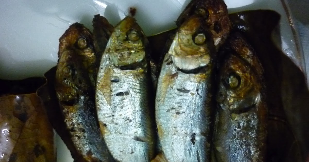 Lia's Food Journey: Tawilis