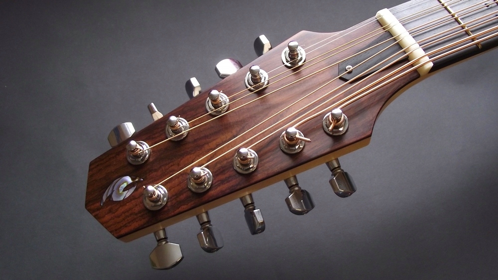 A Luthier's Blog: 10 String Mandocello