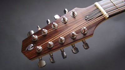 A Luthier's Blog: 10 String Mandocello