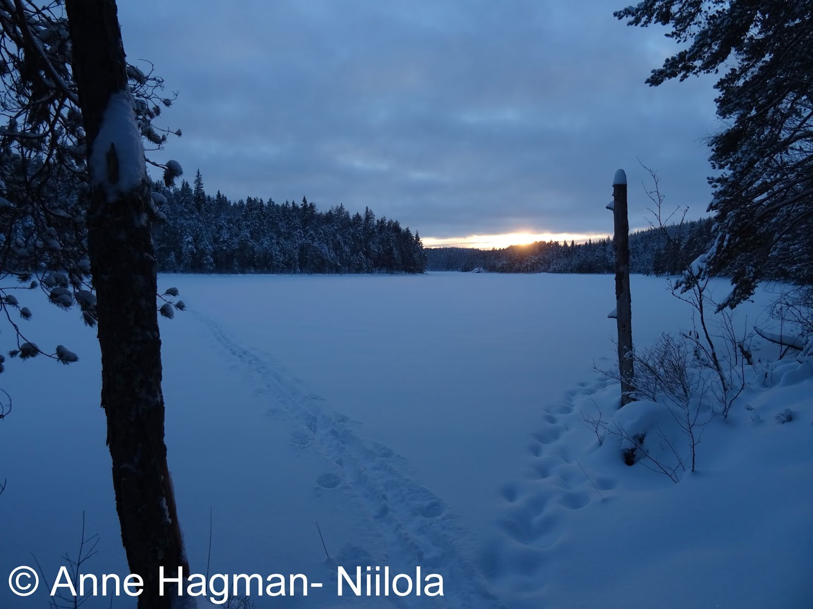 ANNEN LUONTOPÄIVÄKIRJA nature diary: TALVIMAISEMA winter landscape