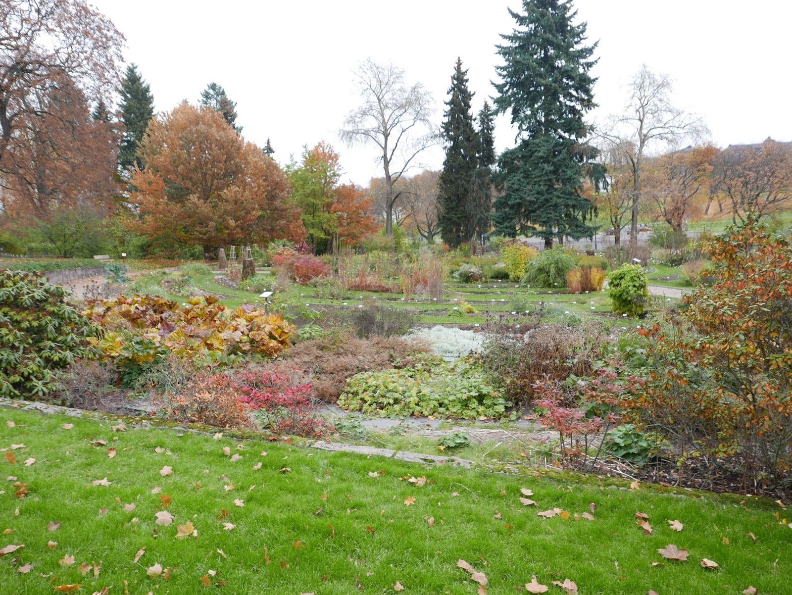 Fana hagelag: En vakker høstdag i Botanisk hage i Oslo