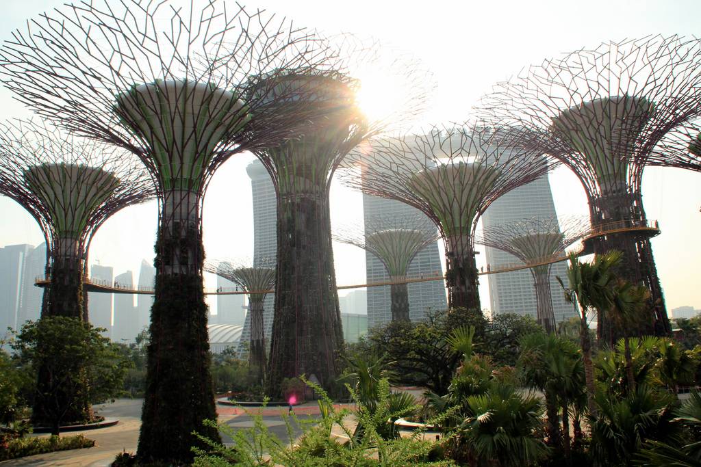 The Supertrees of Singapore ~ Kuriositas