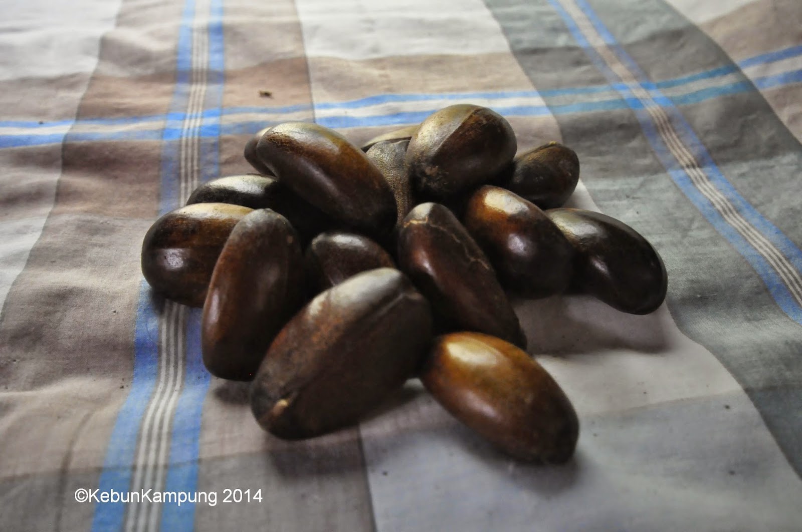 buah perah dari kampung