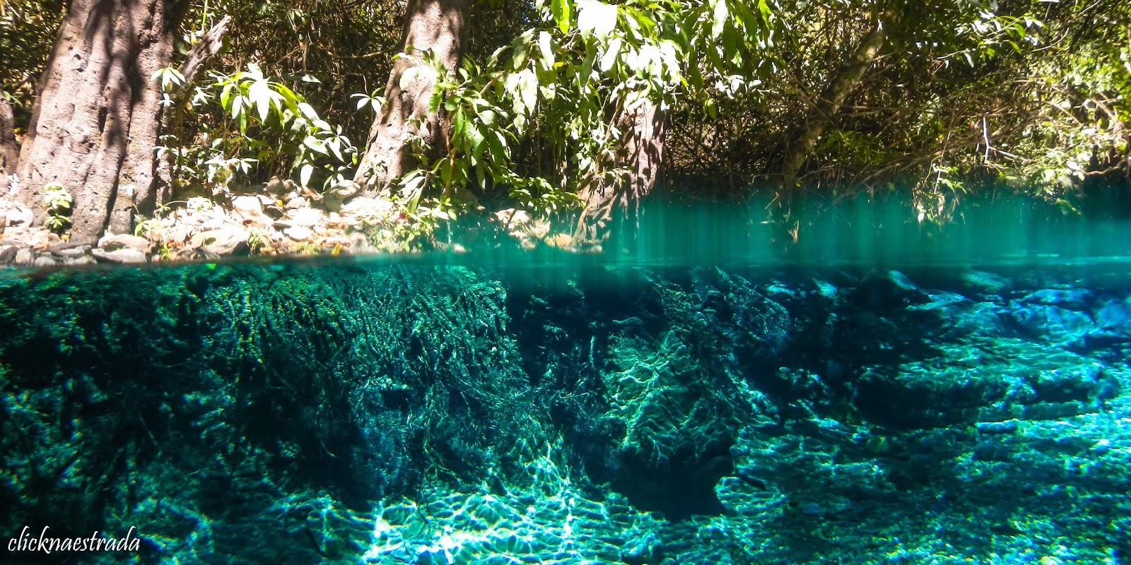 Rio Azuis | Click na Estrada