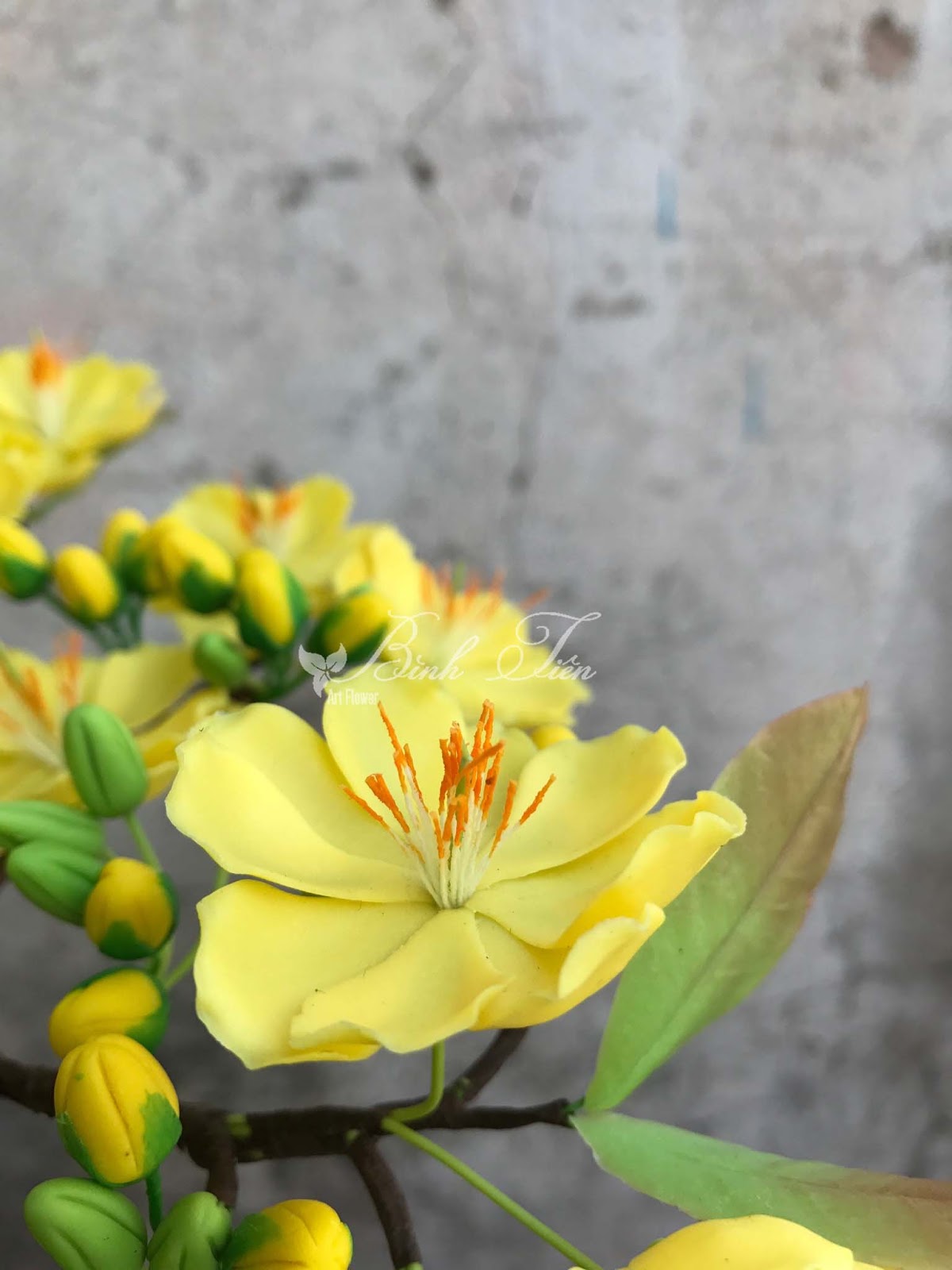 Hoa Dat Set Online: 2017