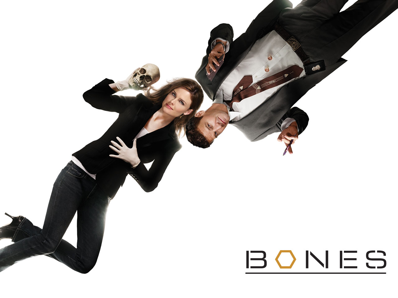 Escritorio Desordenado: Bones (2005-hasta la fecha)