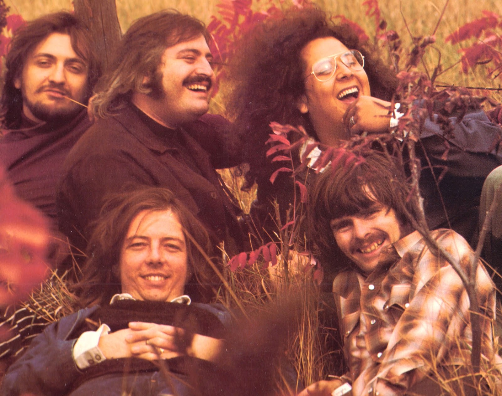 Forestdweller: The Turtles