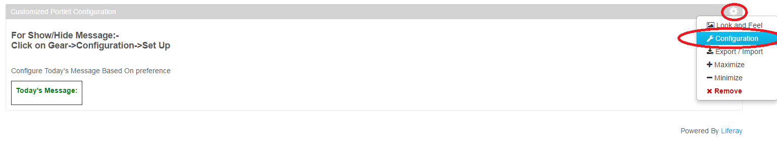 Getting into Liferay