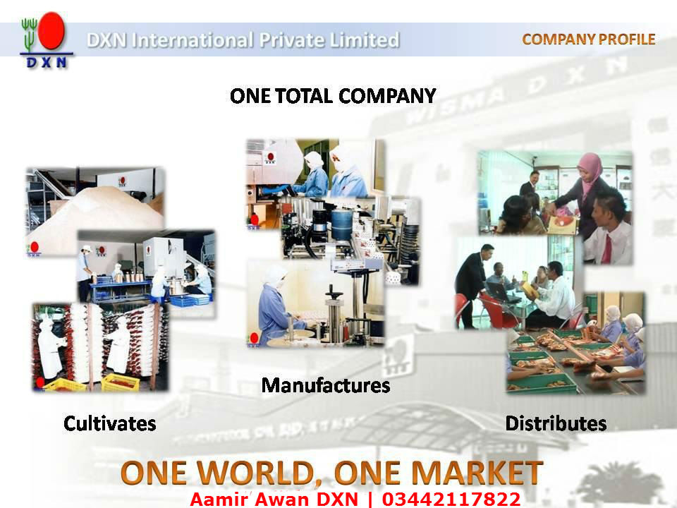 One World One Market DXN