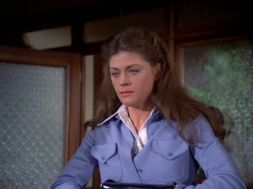 Zebradelic: Meg Foster: 1970s detective show glory!
