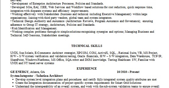 System Integrator Sample Resume Format in Word Free Download
