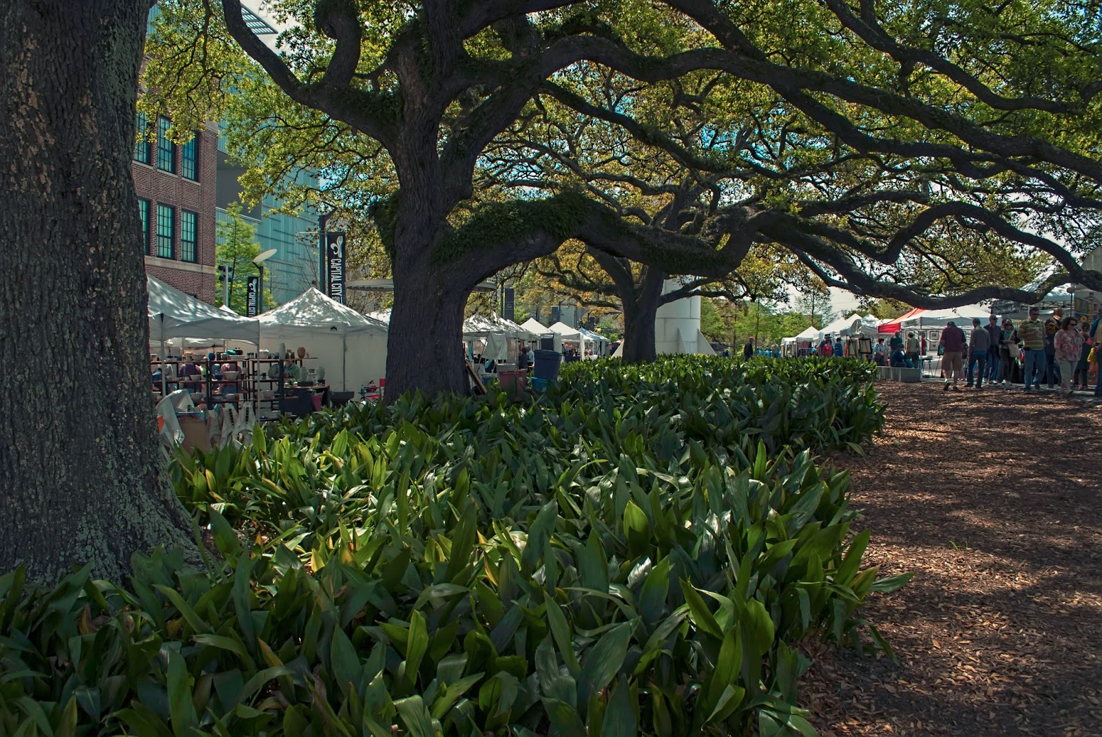 Finding Jerry and Mary: Baton Rouge, Louisiana