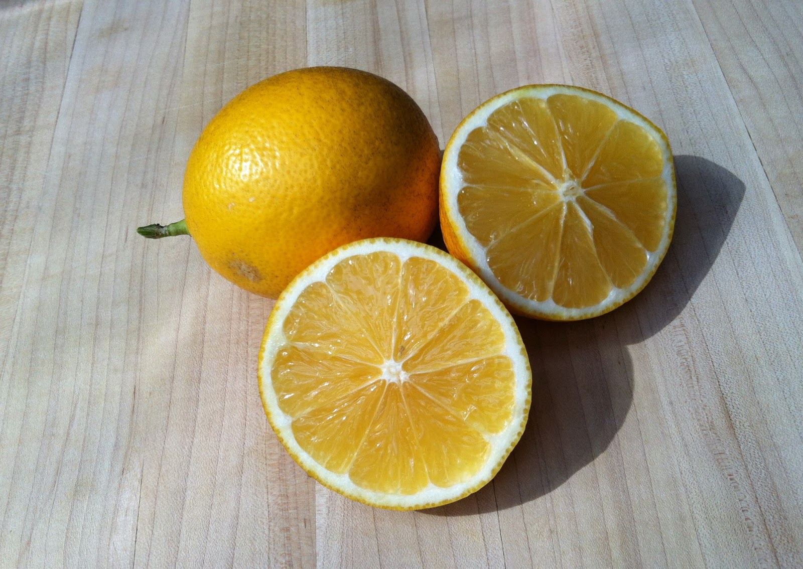 Spoon and Ink: Yellow Foods for a Gray Day What's cooking? Meyer Lemon ...