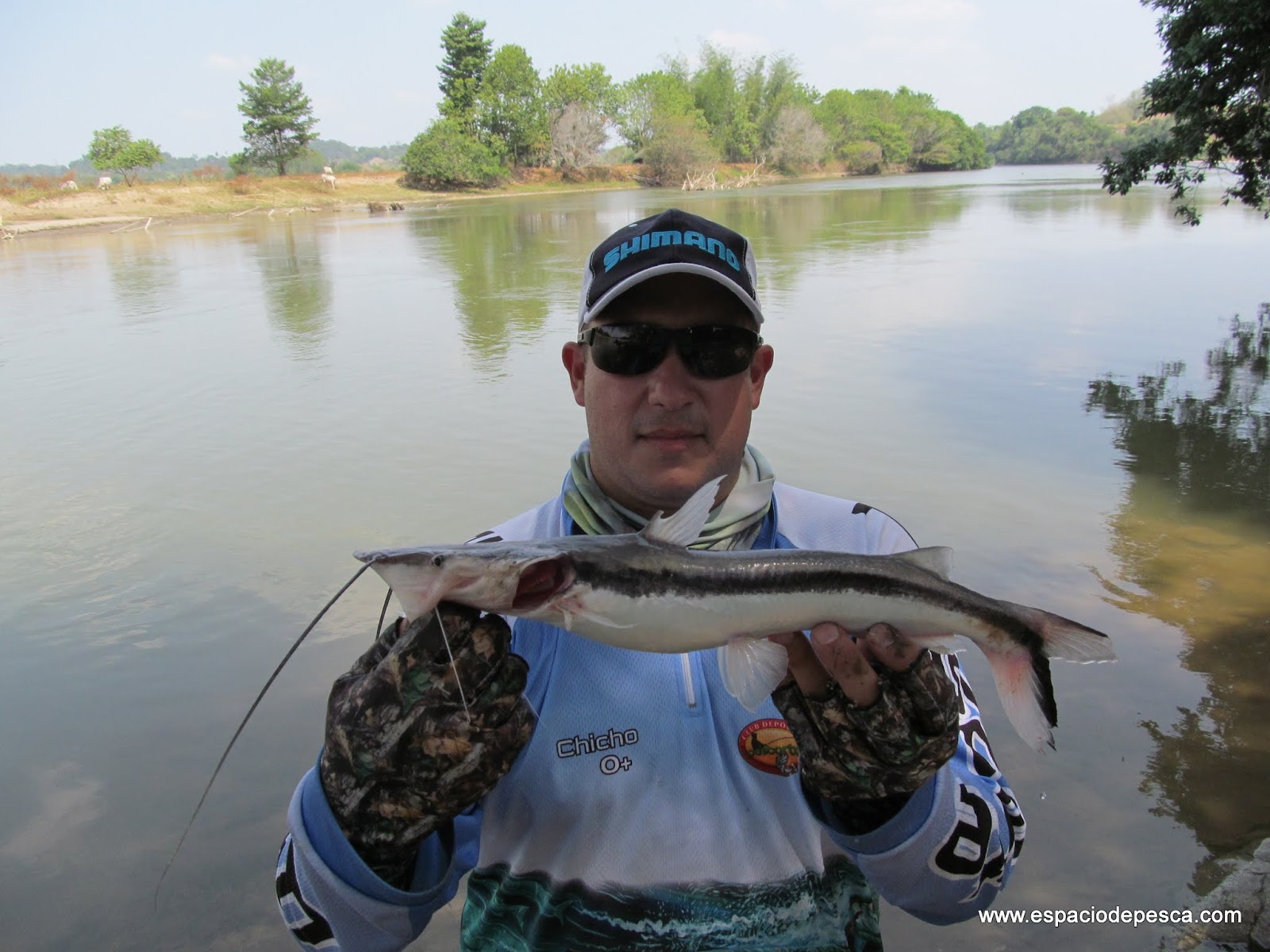 Espacio de Pesca: Pesca de Bagre Blanquillo (Sorubim cuspicaudus) en el ...