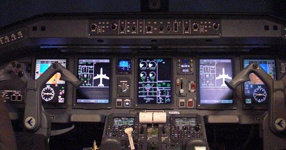 El vuelo de la Gran Avutarda