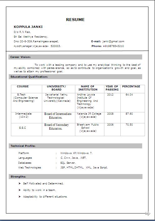 europeaid cv format free download