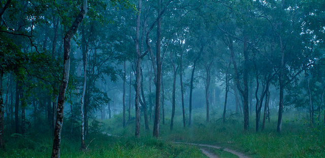 Travel Srilanka - The Wonder of Asia