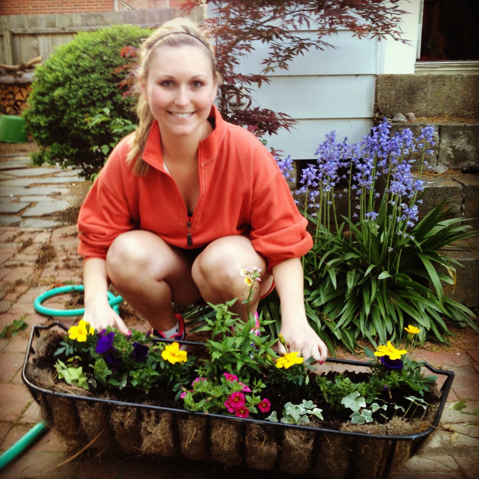 Alexandra Bee Blog: Spring Blooms