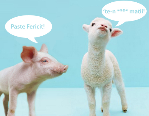 B-logul lui cartus[ro]: Mielul si porcul de Paste