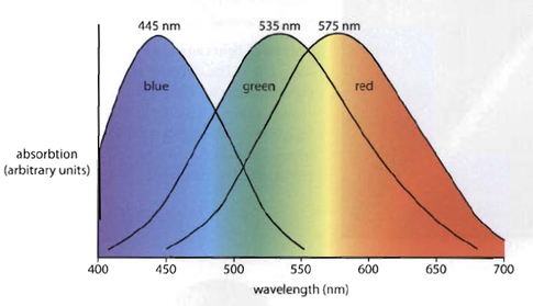 Colorblind Tools: One RGB model, many RGB spaces