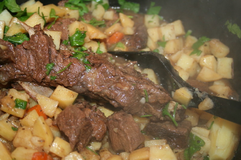 Godt og Sunt: Viltgryte med hjort